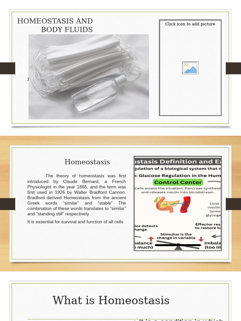Anaphy Report 1 | PDF | Homeostasis | Kidney