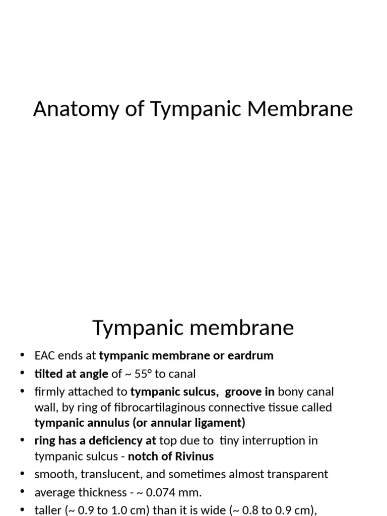 5 Anatomy of TM | PDF