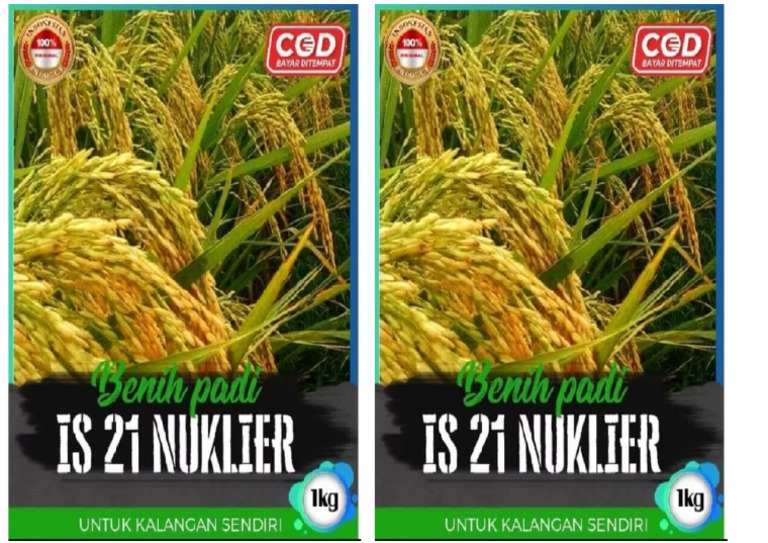 Is Nuklier 21 | PDF