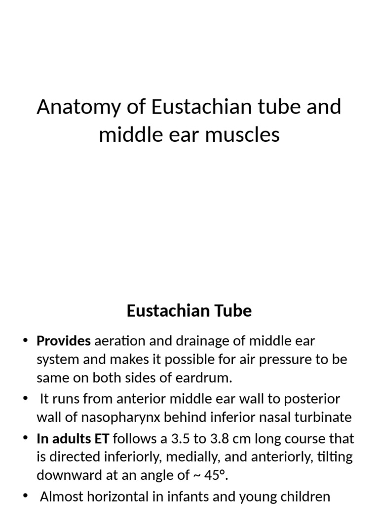 7 Anatomy of Eustachian Tube and Middle Ear Muscles | PDF | Ear ...