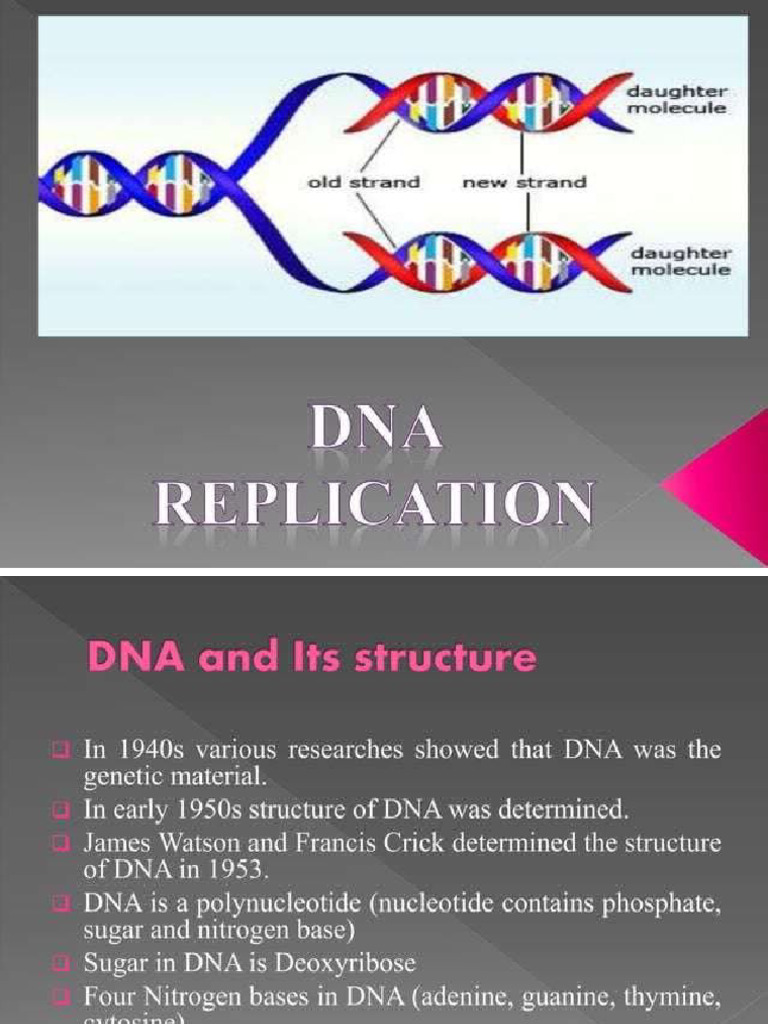 Replication | PDF