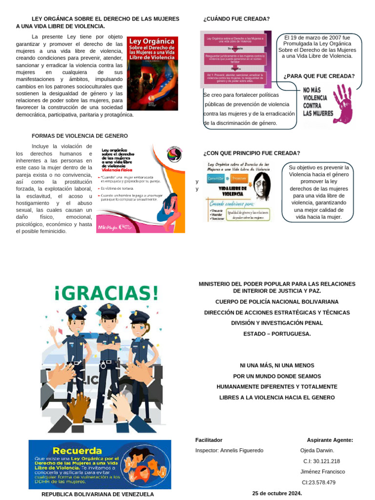 Diptico de La Ley Violencia Contra La Mujer | PDF | Violencia | La violencia contra las mujeres