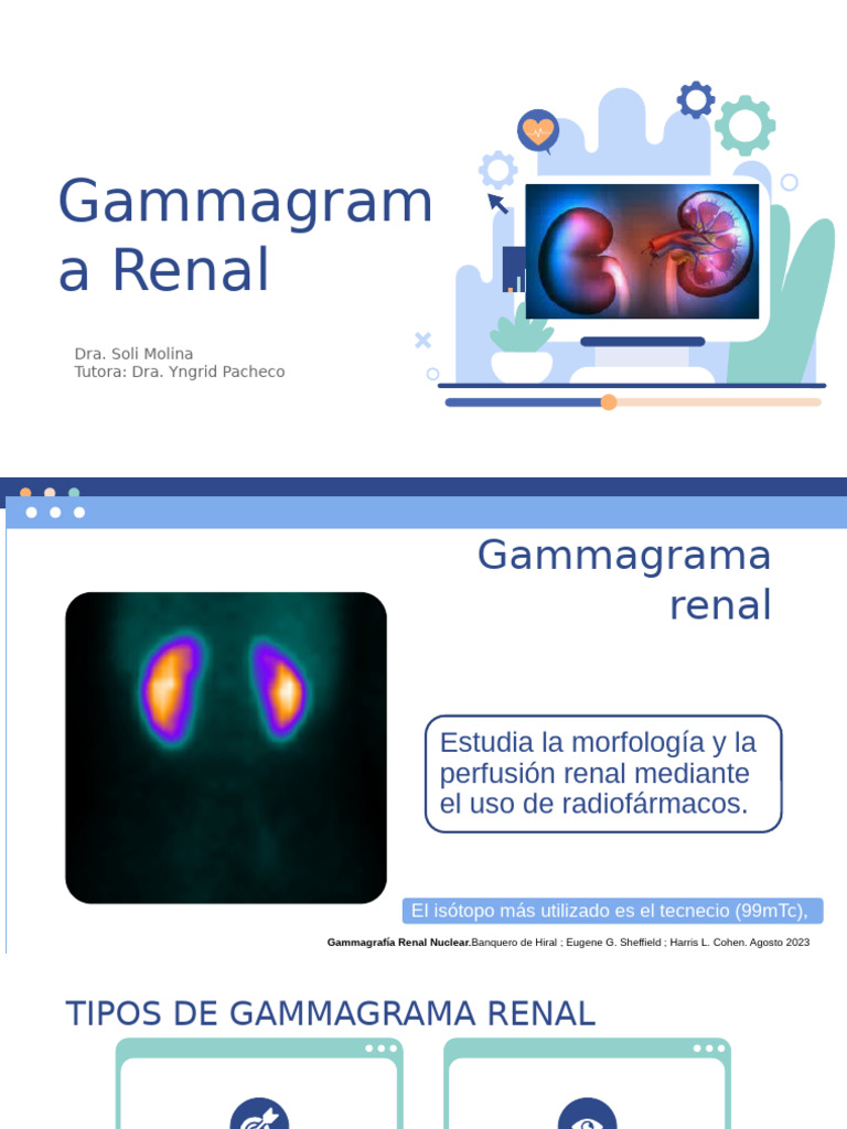 Gammagrama Renal: Tipos y Aplicaciones | PDF | Riñón | Sistema urinario