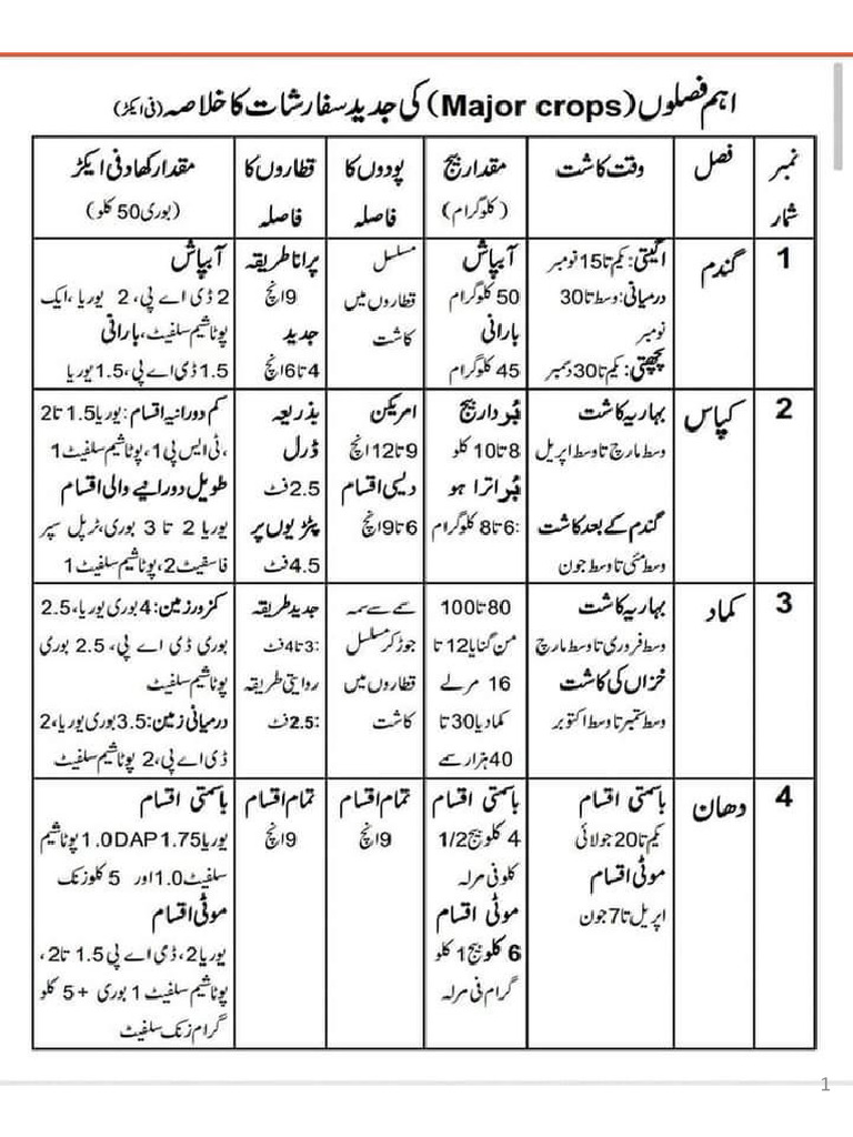 Input From DR Asif Shareef | PDF