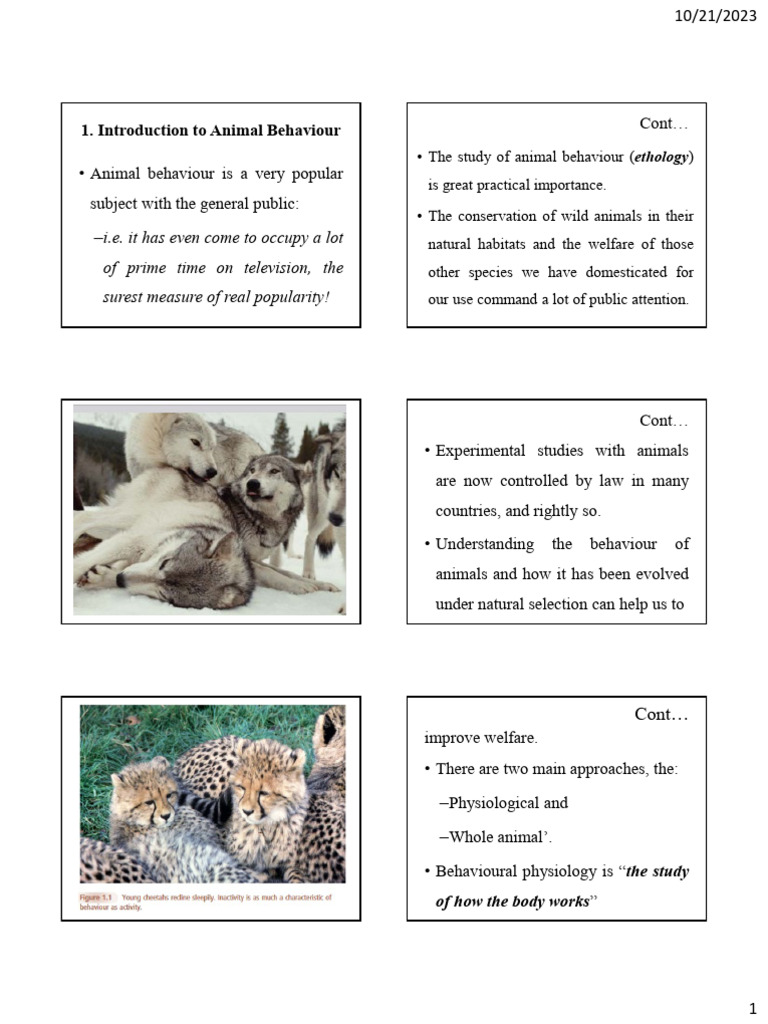 Handout 1 (6 Slides Per Page) | PDF | Learning | Behavior