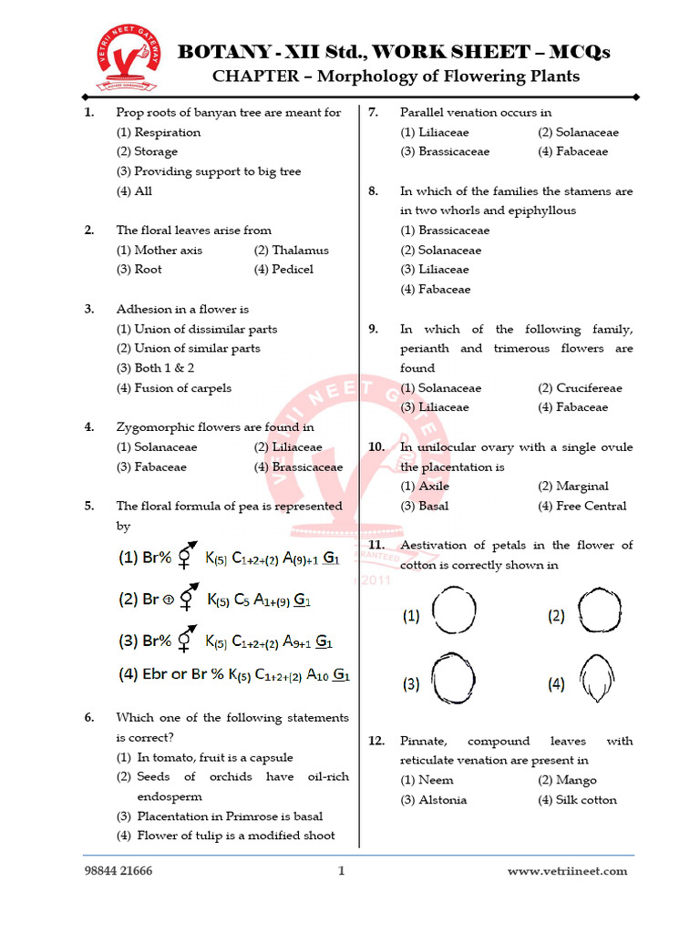 V++ Botany MCQ (Morphology of Flowering Plants) | PDF | Fruit | Flowers