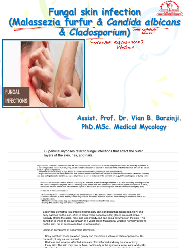 Sgl4 | PDF | Candidiasis | Candida (Fungus)