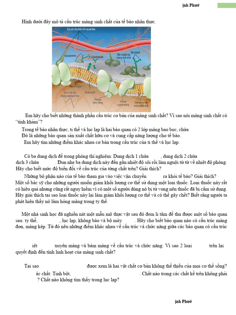 Bài tập TBH - in | PDF