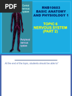 01 - Human Brain - Labeling Diagrams - Parts & Functions - Fill in The ...