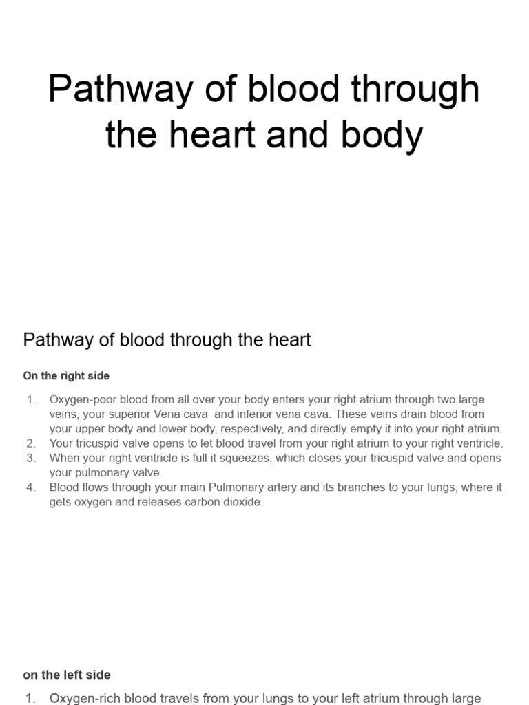 Pathway of blood through the heart and body | PDF | Heart | Heart Valve