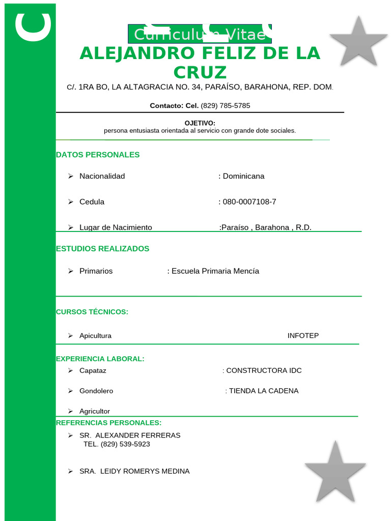 ALEJANDRO Curriculum | PDF