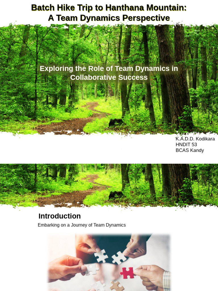 Exploring The Role of Team Dynamics in Collaborative Success | PDF