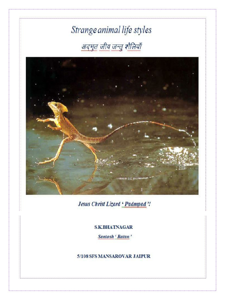 Strange Animal Life Styles - Book Cover | PDF | Zoology | Ethology