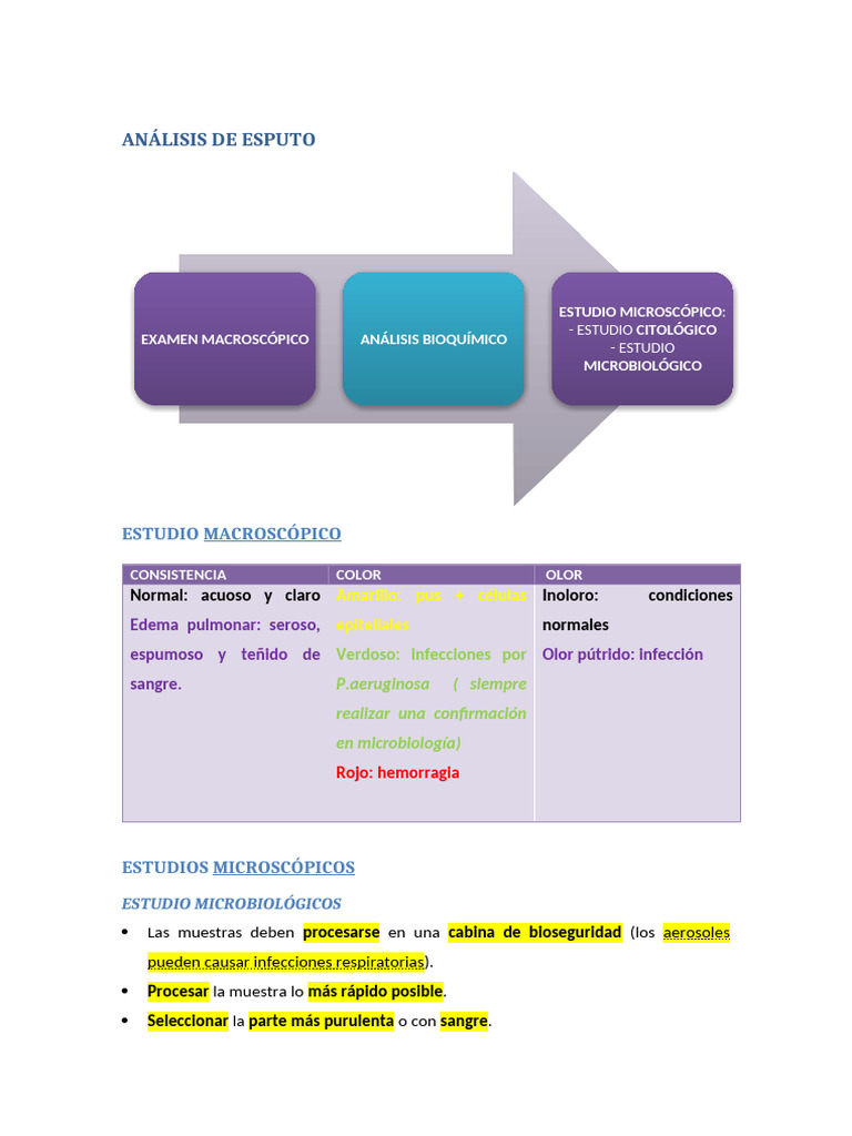 Análisis de Esputo: Métodos y Resultados | PDF