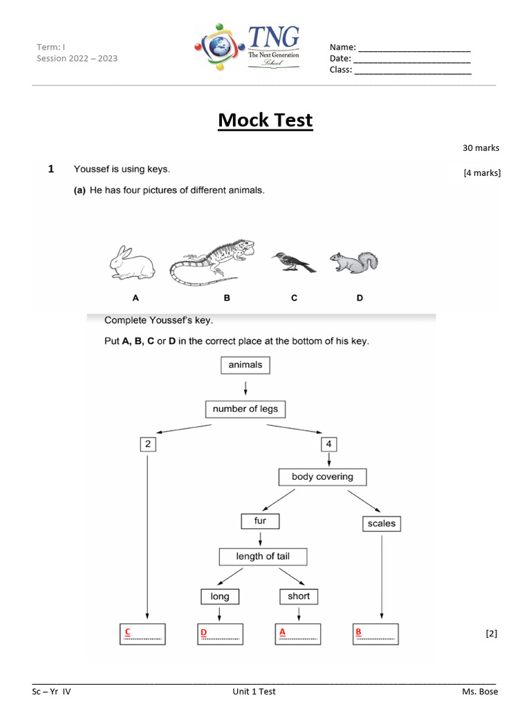 Y4 Mock Test Answers V3 | PDF | Pathogen | Bone