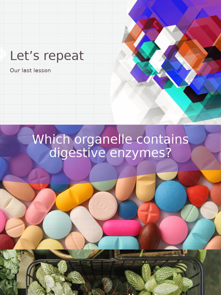 Understanding Cell Organelles and Magnification | PDF | Organelle ...