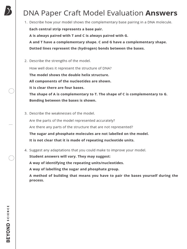 DNA Paper Craft Model Evaluation Worksheet Support - Answers | PDF