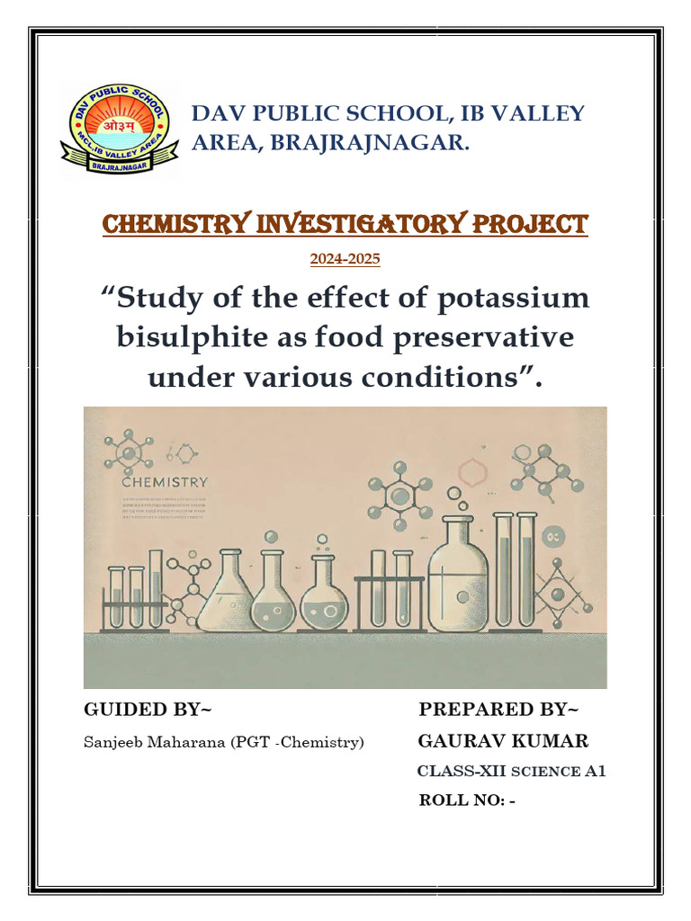 CHEMISTY PROJECT (1) CLASS 12 | PDF | Food Preservation | Chemistry