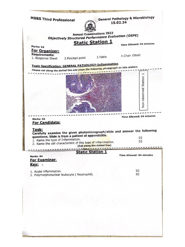 MBBS Third Professional-3 | PDF