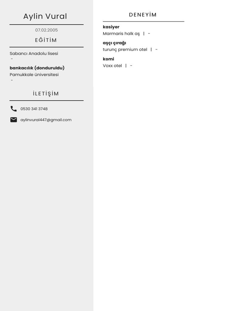 Aylin Vural: Deneyim | PDF