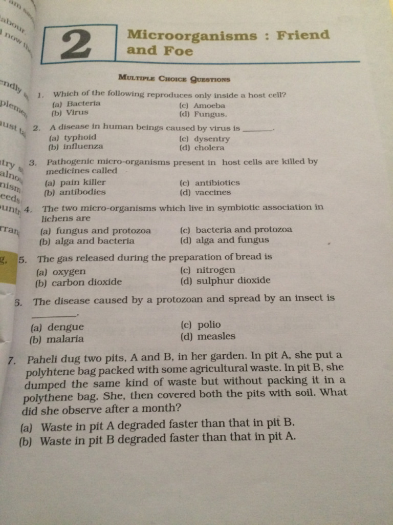 Microorganisms- Exemplar Questions and Solutions | PDF