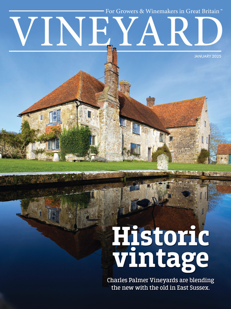 Vineyard 01 2025 | PDF