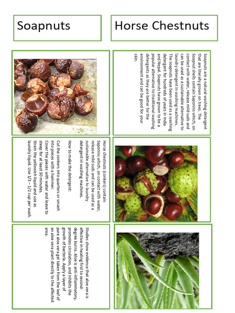 Alternative Uses of Plants | PDF | Coffee | Trees
