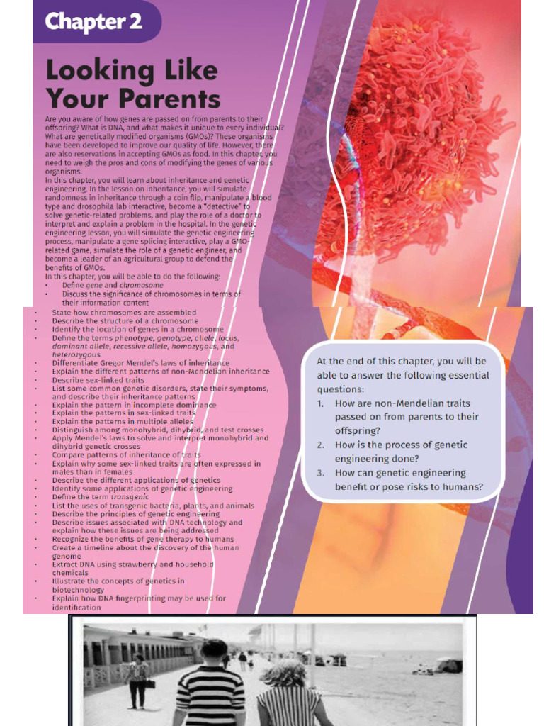 GENBIO2-LESSON2A | PDF | Dominance (Genetics) | Zygosity