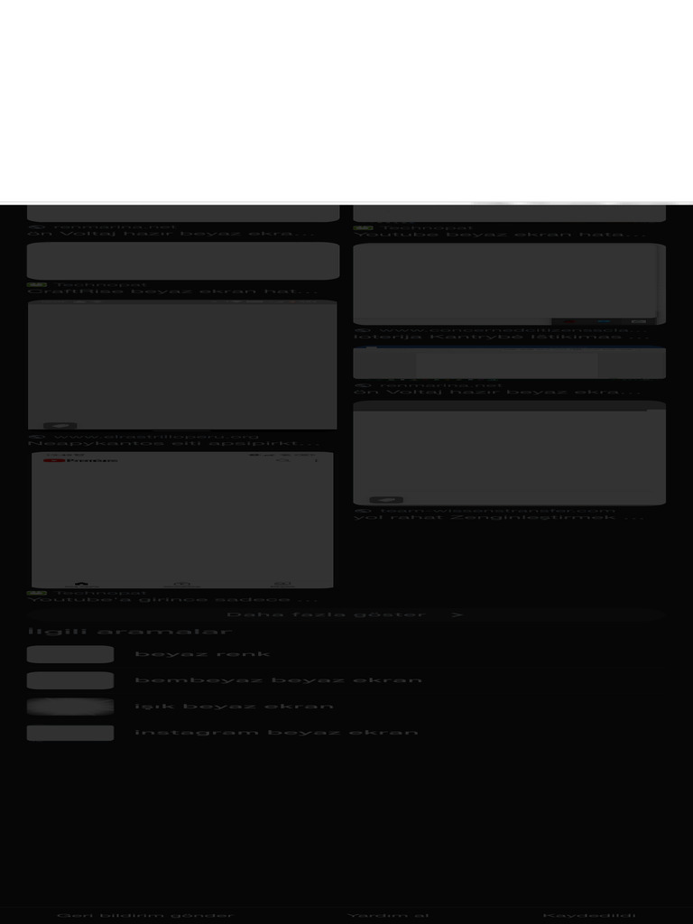 Beyaz Ekran - Google'Da Ara | PDF
