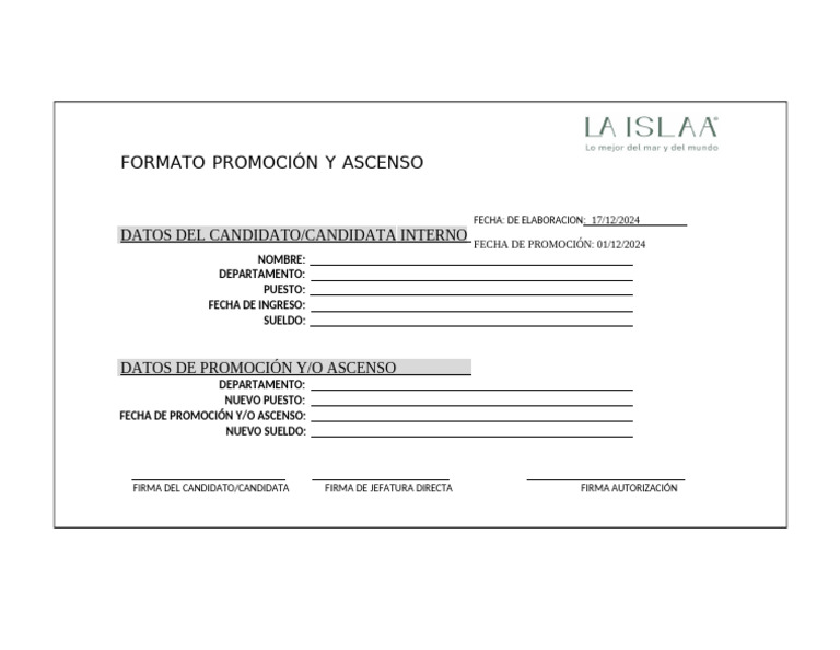 Formato de Promoción Laboral | PDF
