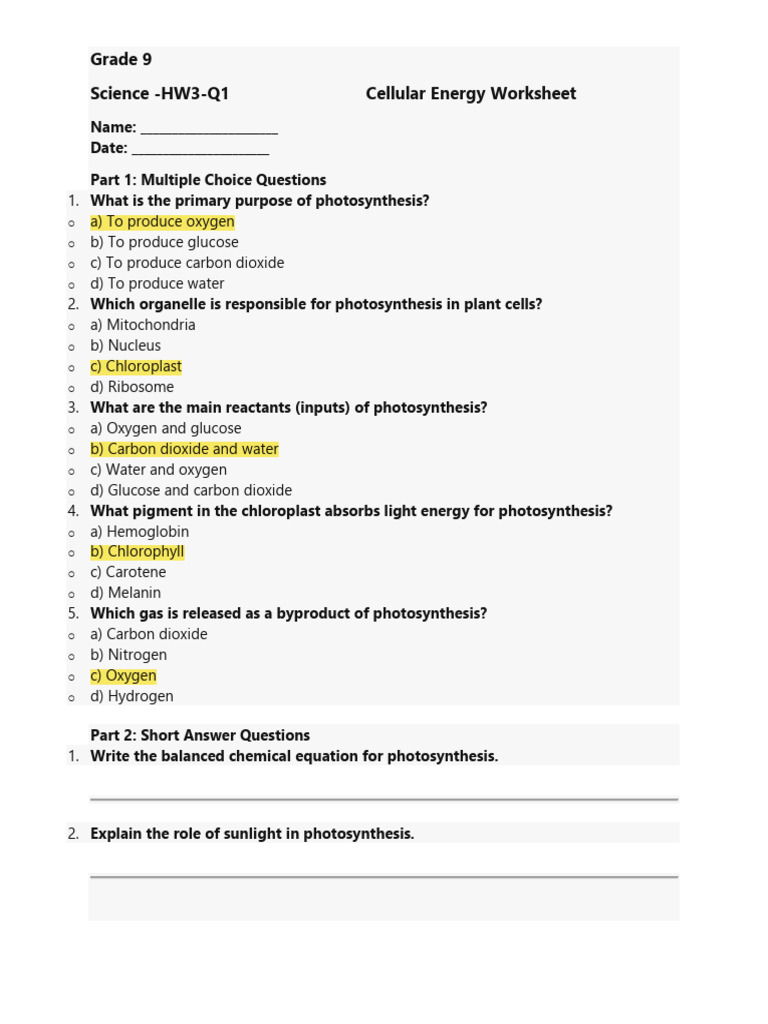 Cellular Energy Worksheet | PDF