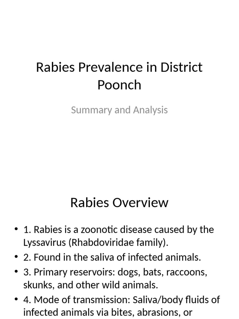 Rabies Prevalence Presentation | PDF