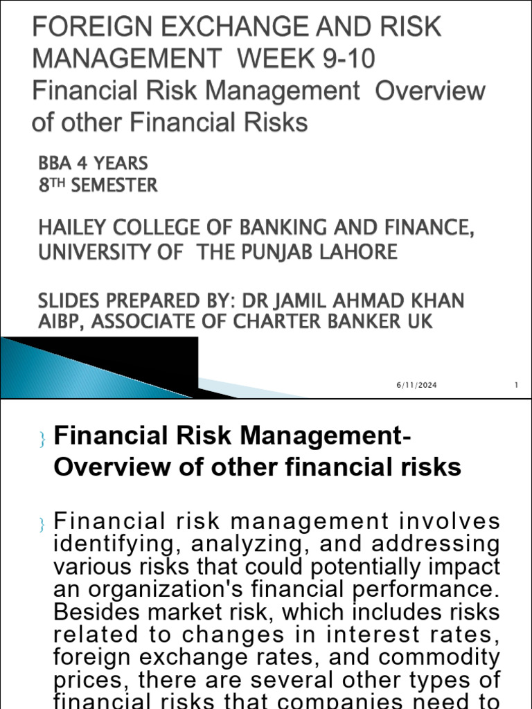 Overview of Financial Risk Types | PDF | Financial Risk | Market Liquidity