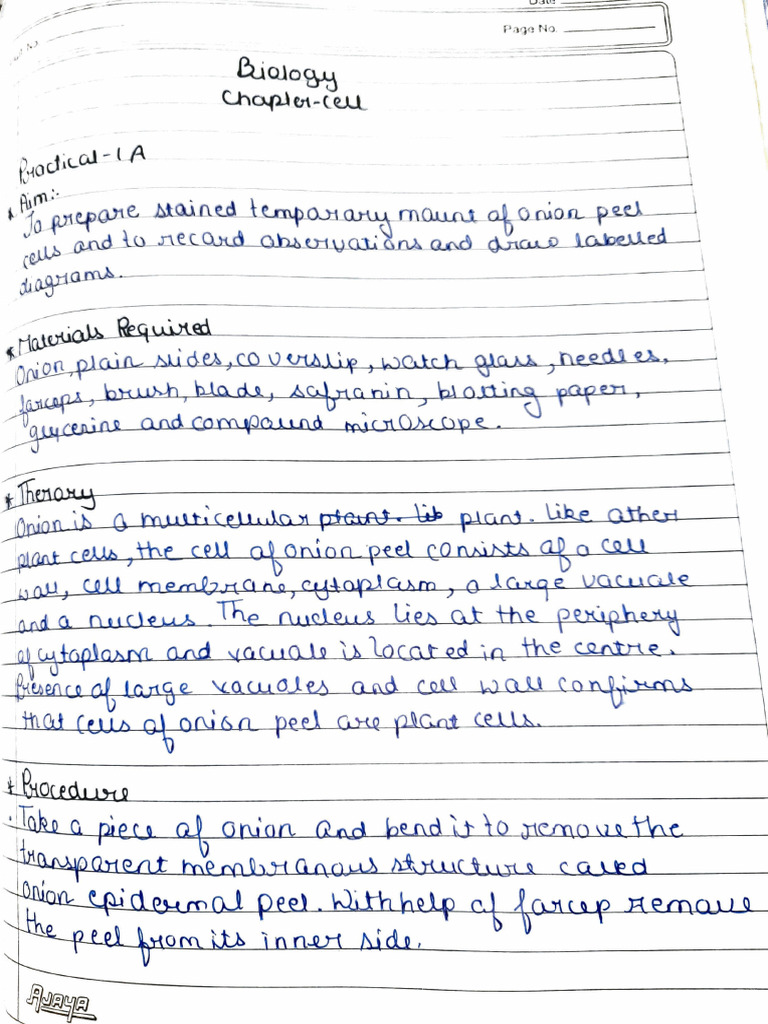 Lab Munual Work of Biology Practical 1A, 1B, 2A, 2B | PDF