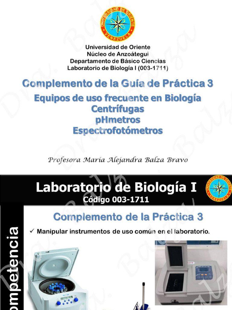Complemento de La Guía de Práctica 3. BI 2024 | PDF