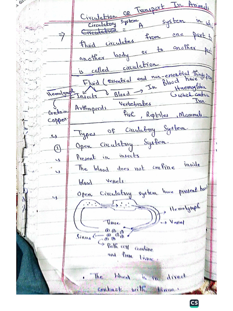 Biology Chapter 12 Introduction by MR Naveed | PDF