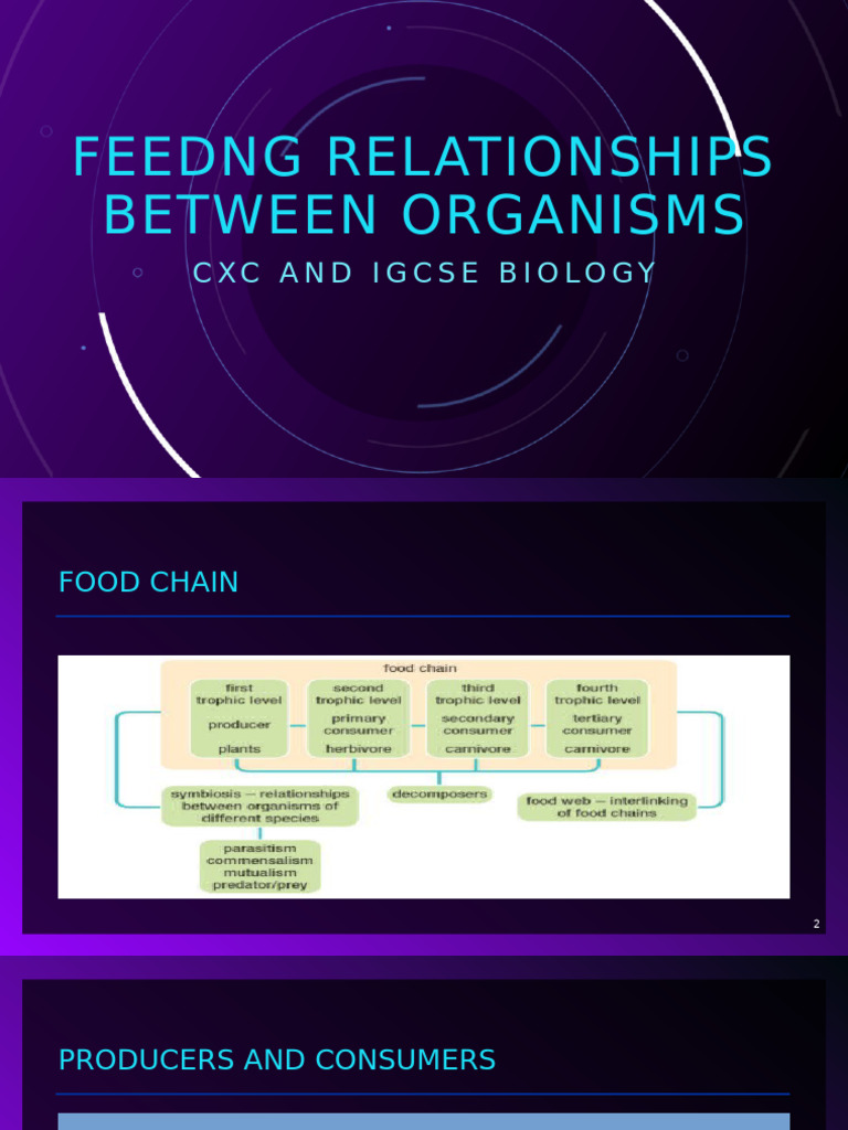 Feeding Relationships Between Organisms | PDF | Food Web | Ecosystem