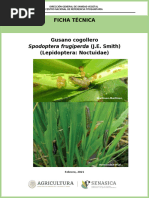 Gusano Soldado Spodoptera Exigua | PDF | Control biológico de plagas ...