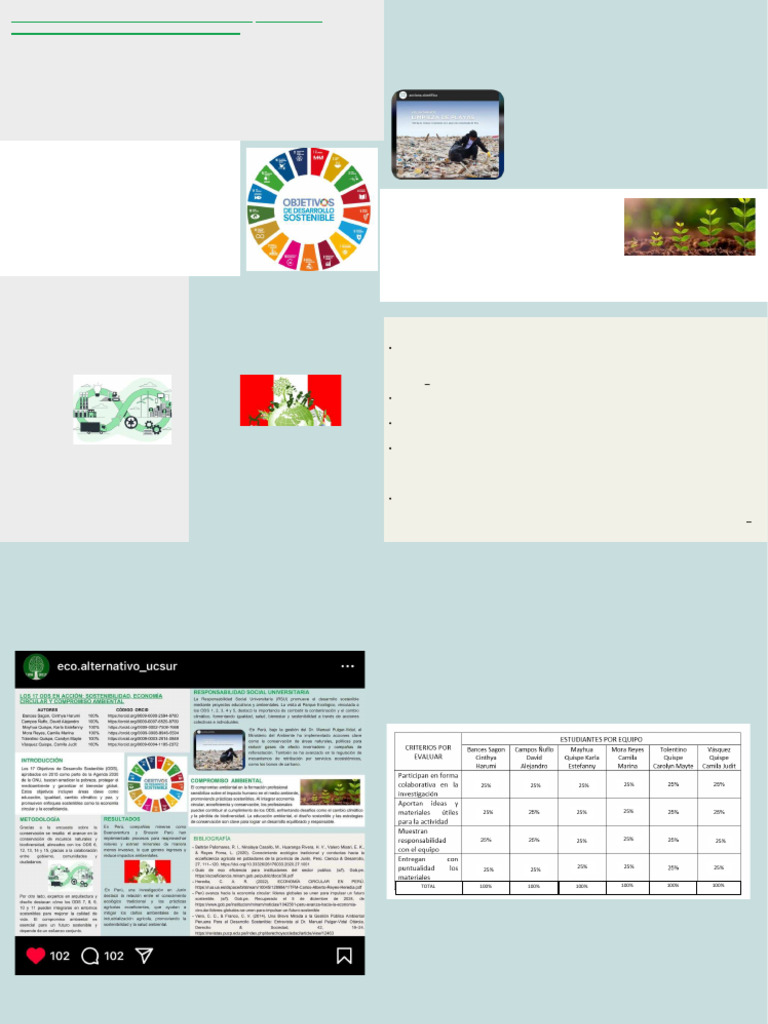Trabajo Final Poster Academico | PDF | Sustentabilidad | Entorno natural