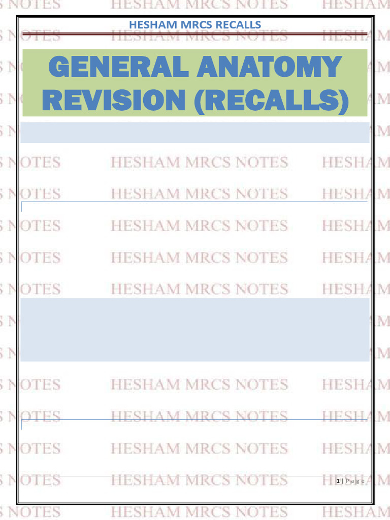Anatomy Recall Updated | PDF | Common Carotid Artery | Human Leg