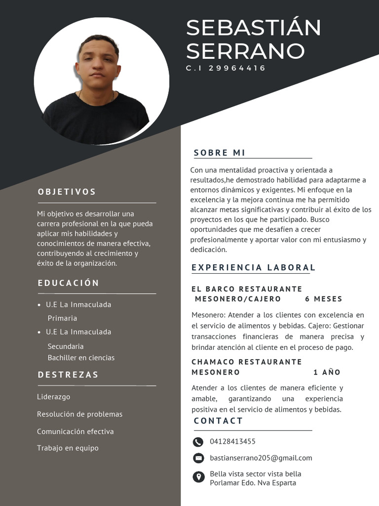 Currículum Sebastian Serrano | PDF