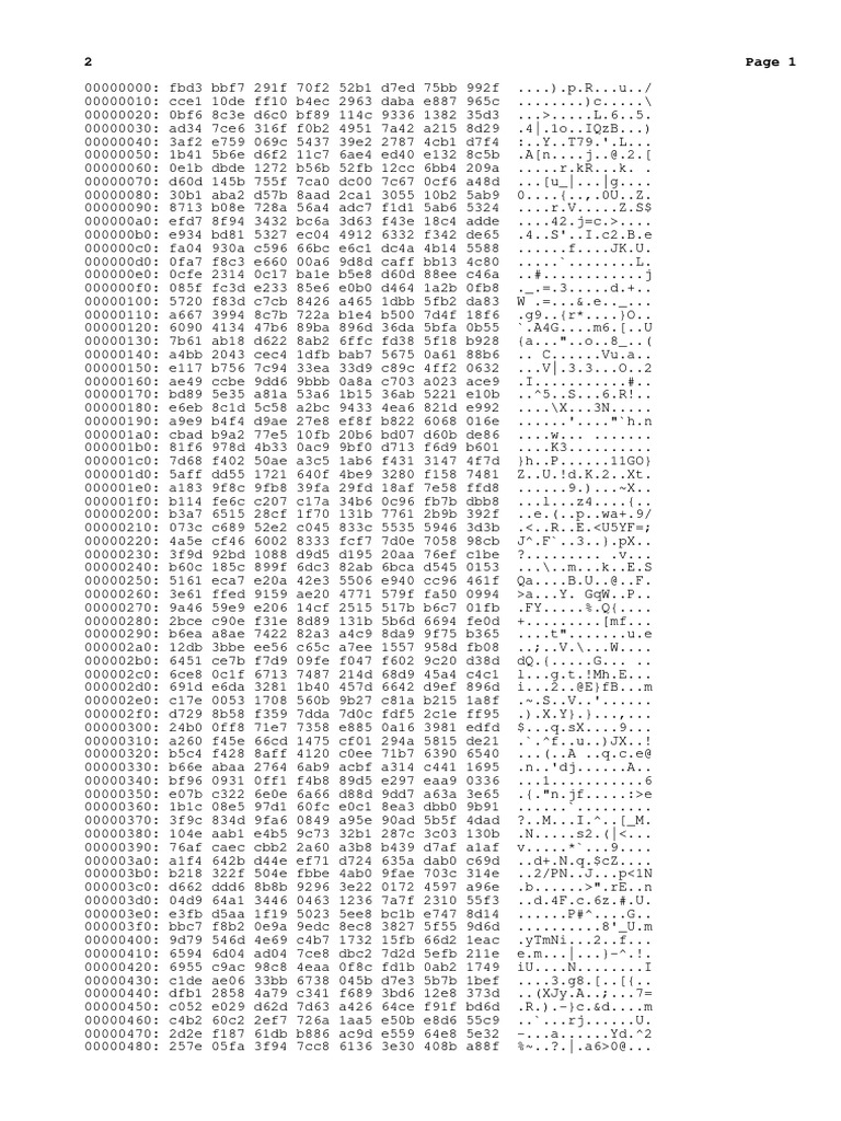 Hexadecimal Data Dump Analysis | PDF