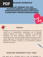 Guia - Semarnat - Manejo - Rpbi Nom-087-Semarnat-Ssa1-2002 | PDF ...