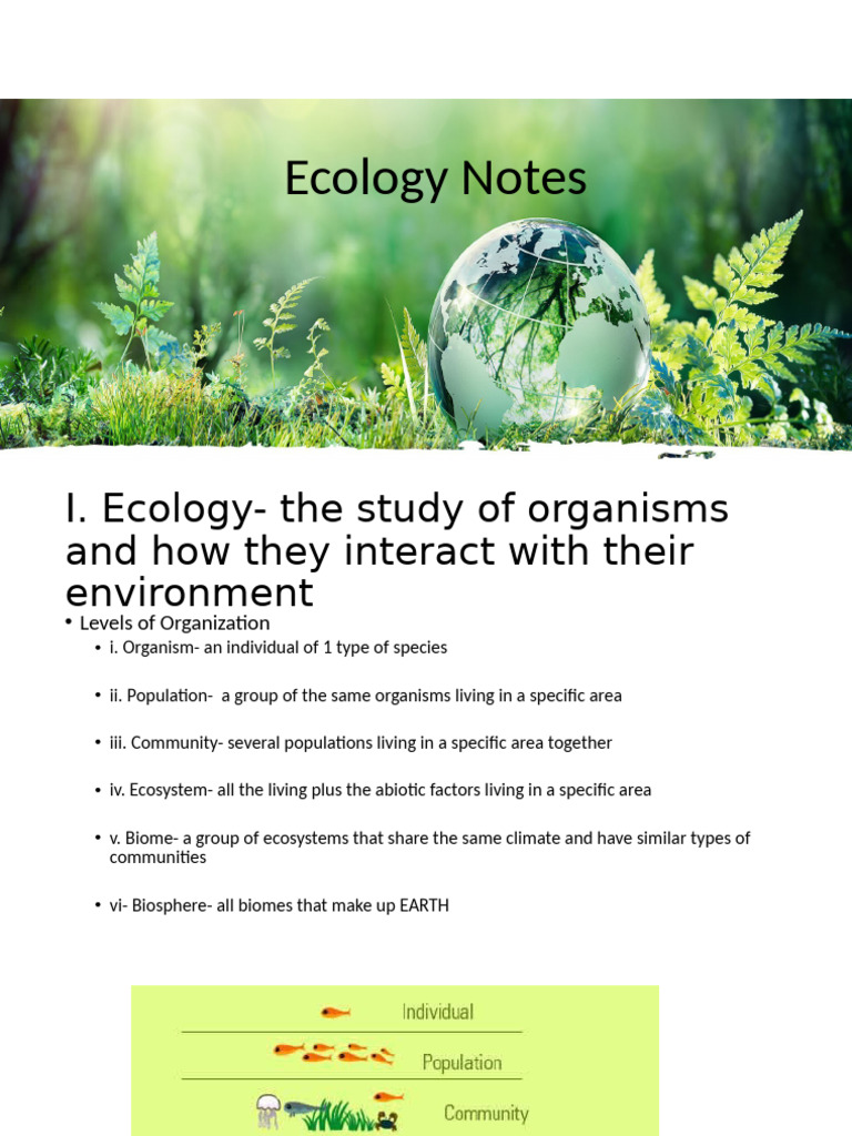 Intro to Ecology Basics | PDF