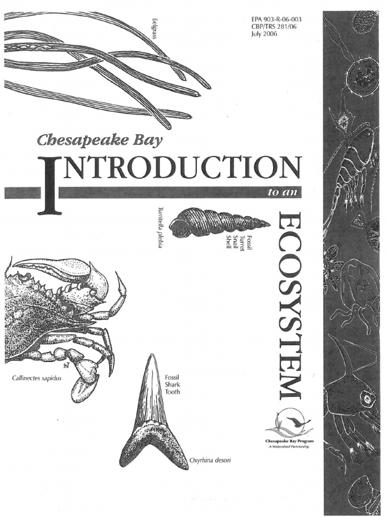 CHesapeake Bay - Introduction To The Ecosystem | PDF