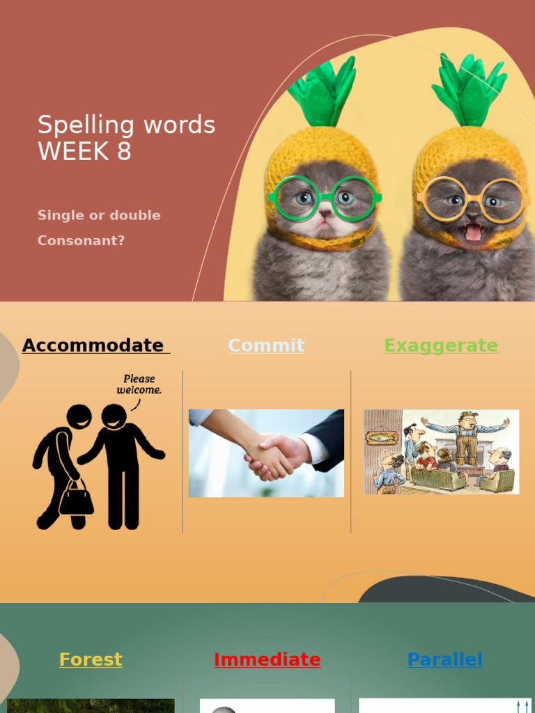 Spelling Week 8 | PDF