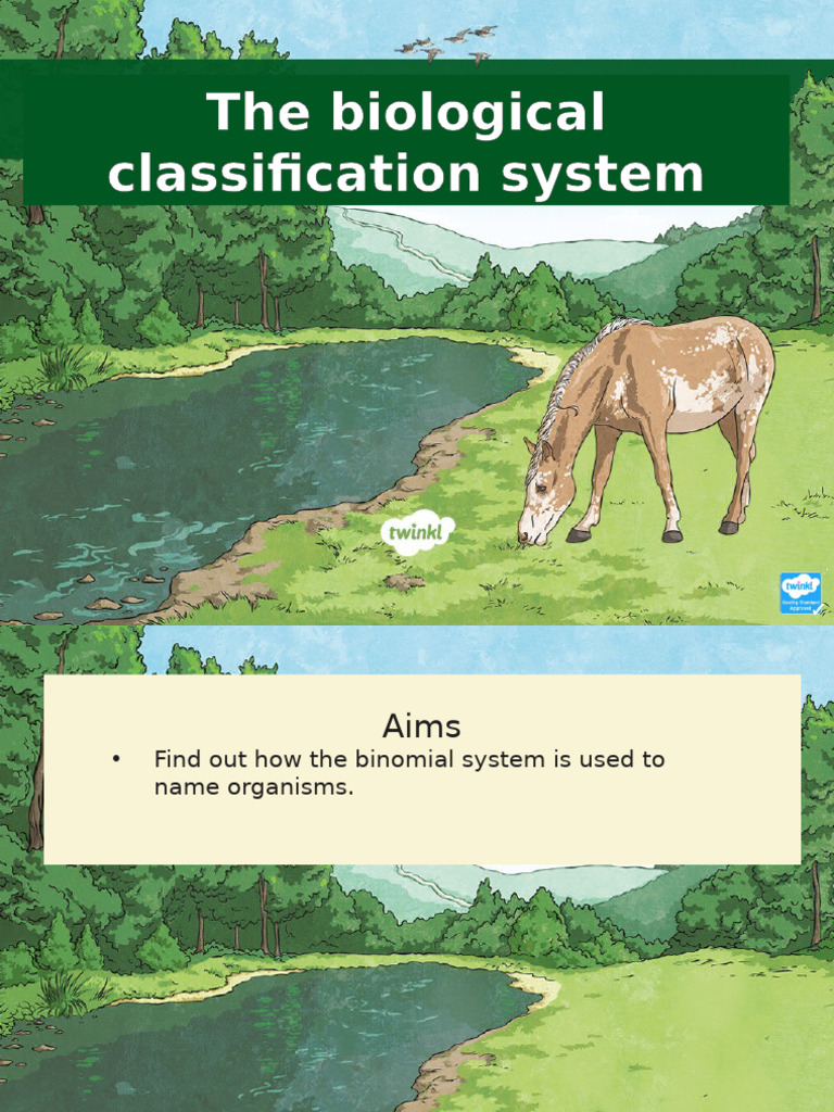 The Biological Classification System | PDF | Species | Biology