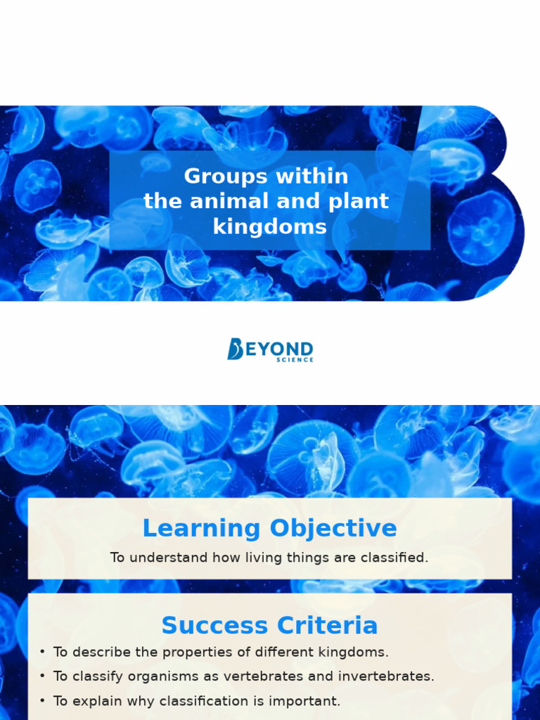 Classifying Animal and Plant Kingdoms | PDF | Amphibian | Plants