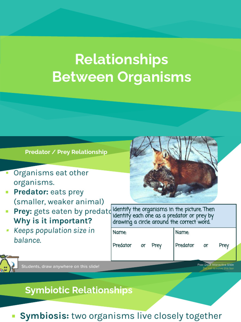 Symbiosis - Relationships Between Organisms Pear Deck Notes | PDF ...