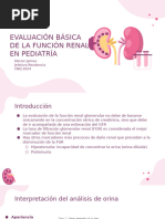 Función Renal Y Uroanálisis Detallado Pdf Sistema Urinario Riñón